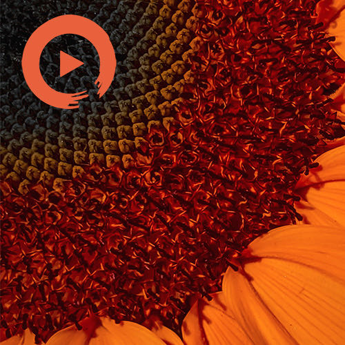 All Enveloping, All Encompassing - a Playlist by musicto