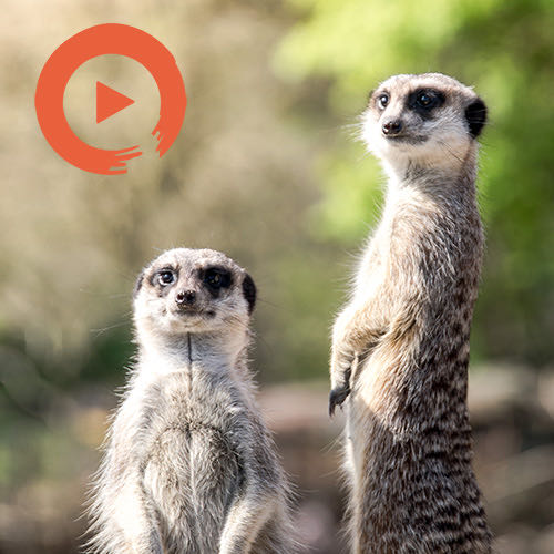 musicto - Surprising Playlists for Curious Listeners