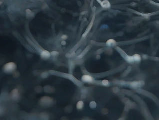 musicto - Surprising Playlists for Curious Listeners