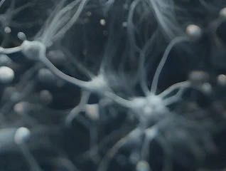 musicto - Surprising Playlists for Curious Listeners